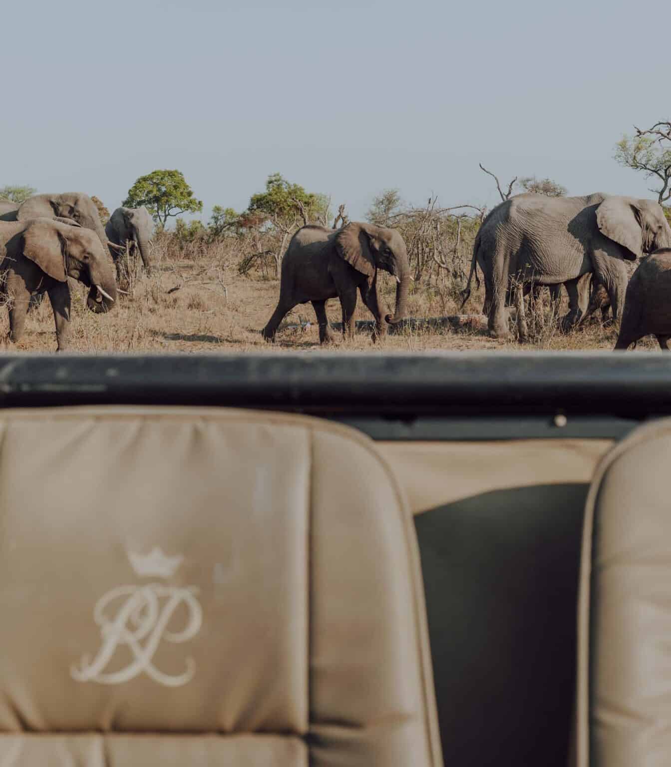 Luxury Travel Agency | Jet Set Travel Experts | Premium Travel Advisors